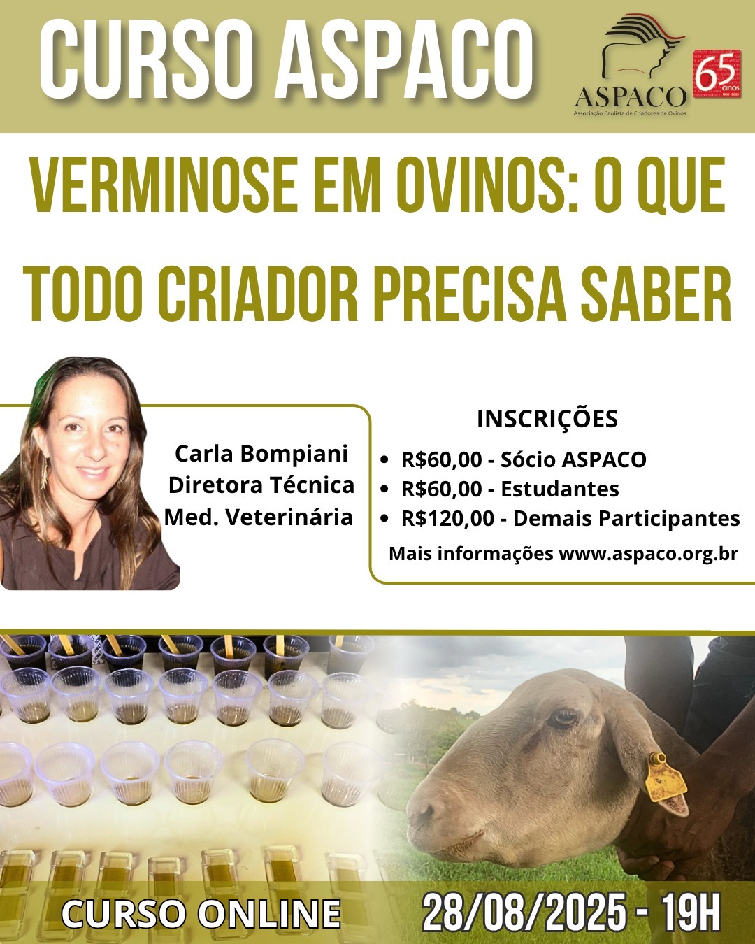 Curso ASPACO: Verminose em Ovinos – O que todo criador precisa saber ...